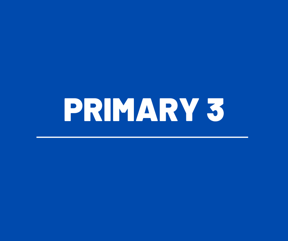 Primary 3 - SMART EXCEL
